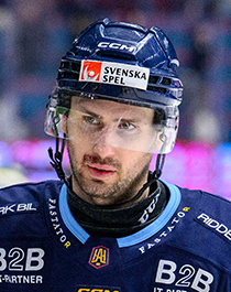 Djurgården, Chandla.se